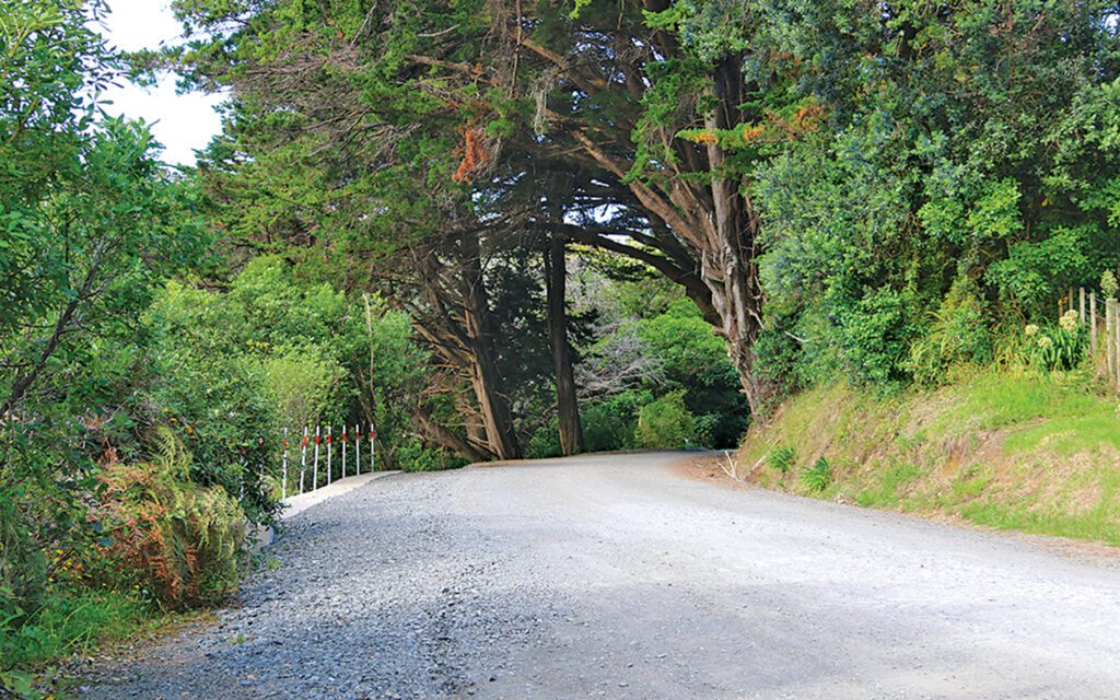 Walkway blocked in escalating council row - Local Matters