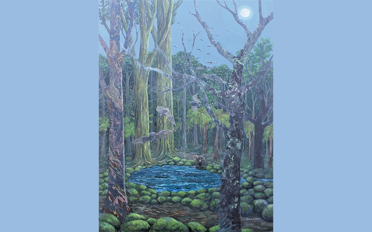 Surprise win for Red Beach artist - Local Matters