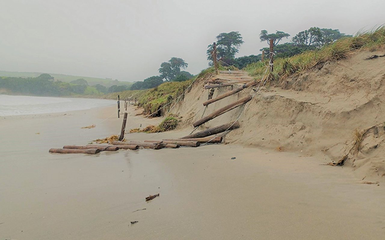 TOSSI - Summer storm chaos - Local Matters