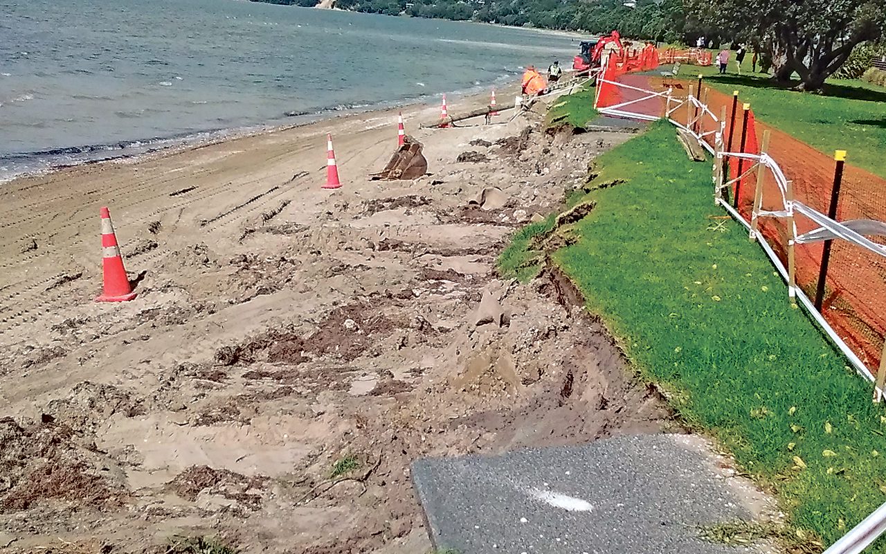 Council signals new approach to managing foreshore - Local Matters