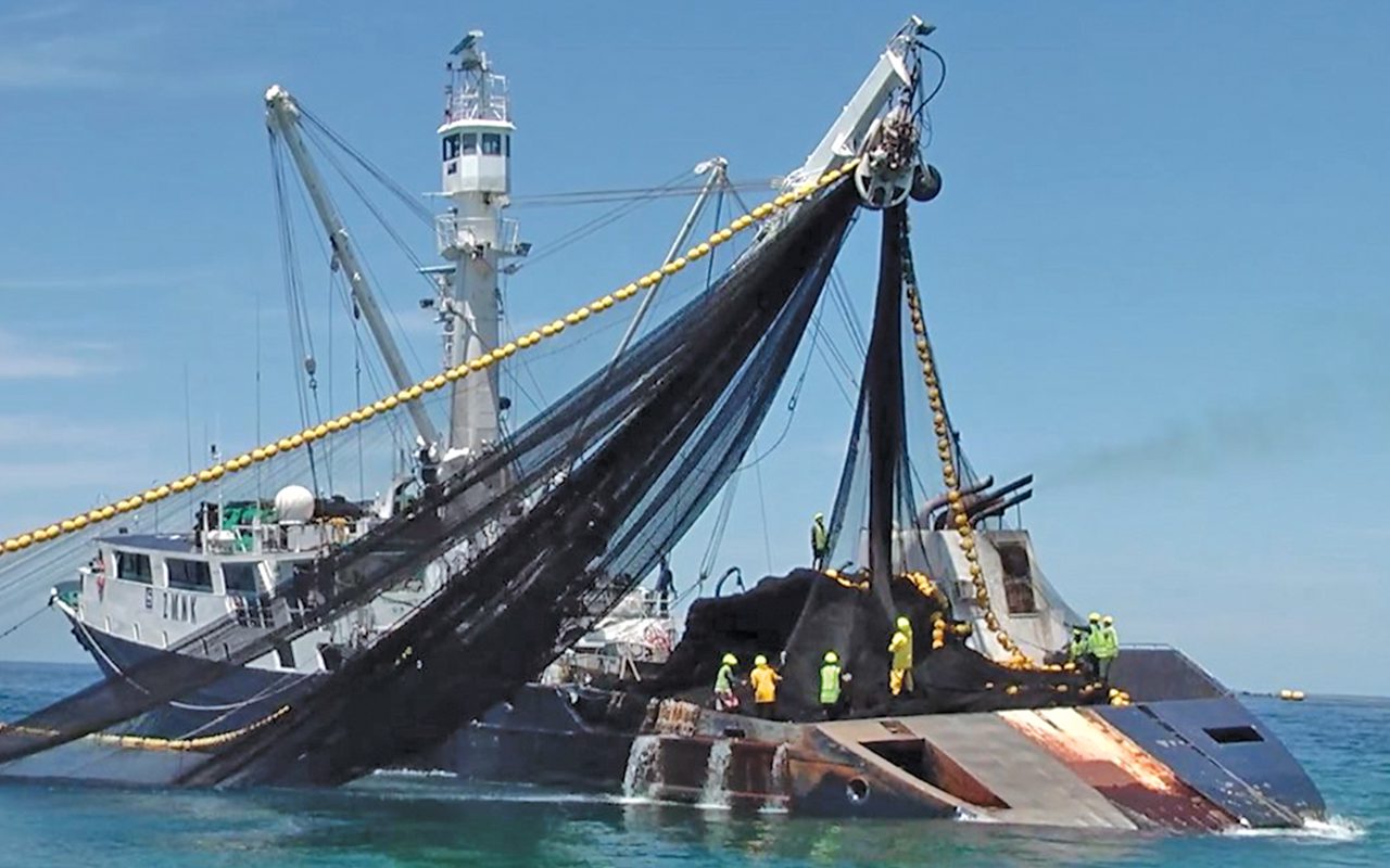 Marine - Purse seining ban long overdue - Local Matters