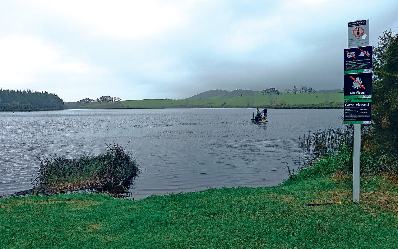 Fish removal shows signs of success - Local Matters