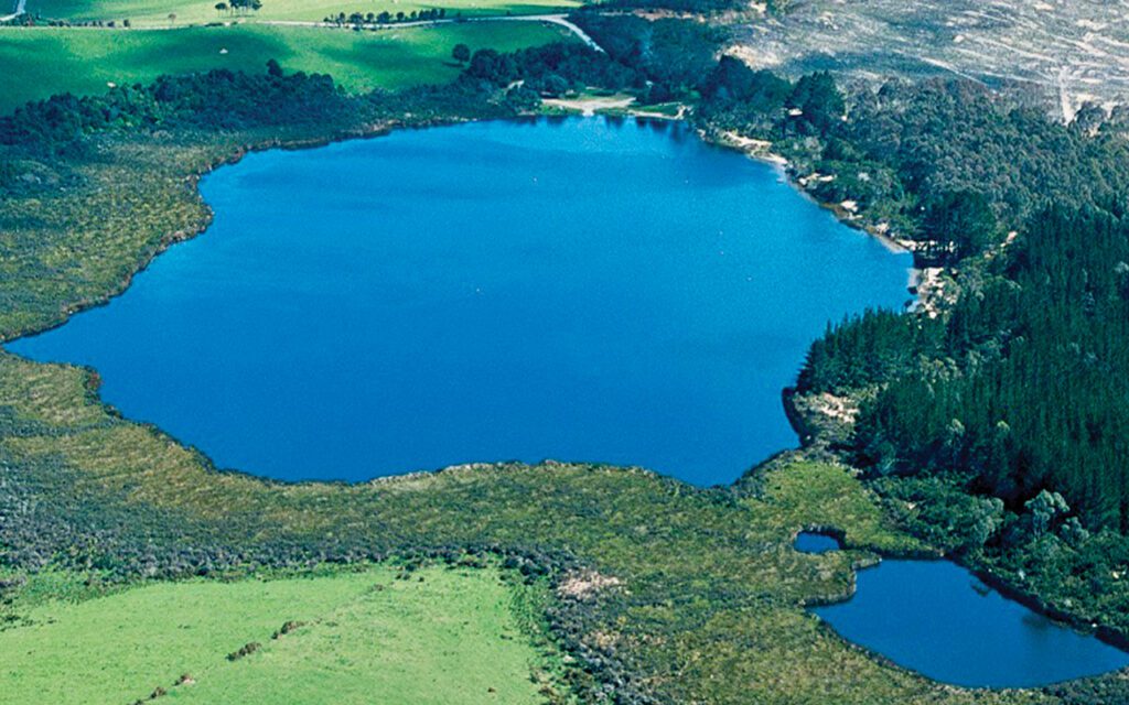 Local board says no to Tomarata park plan - Local Matters