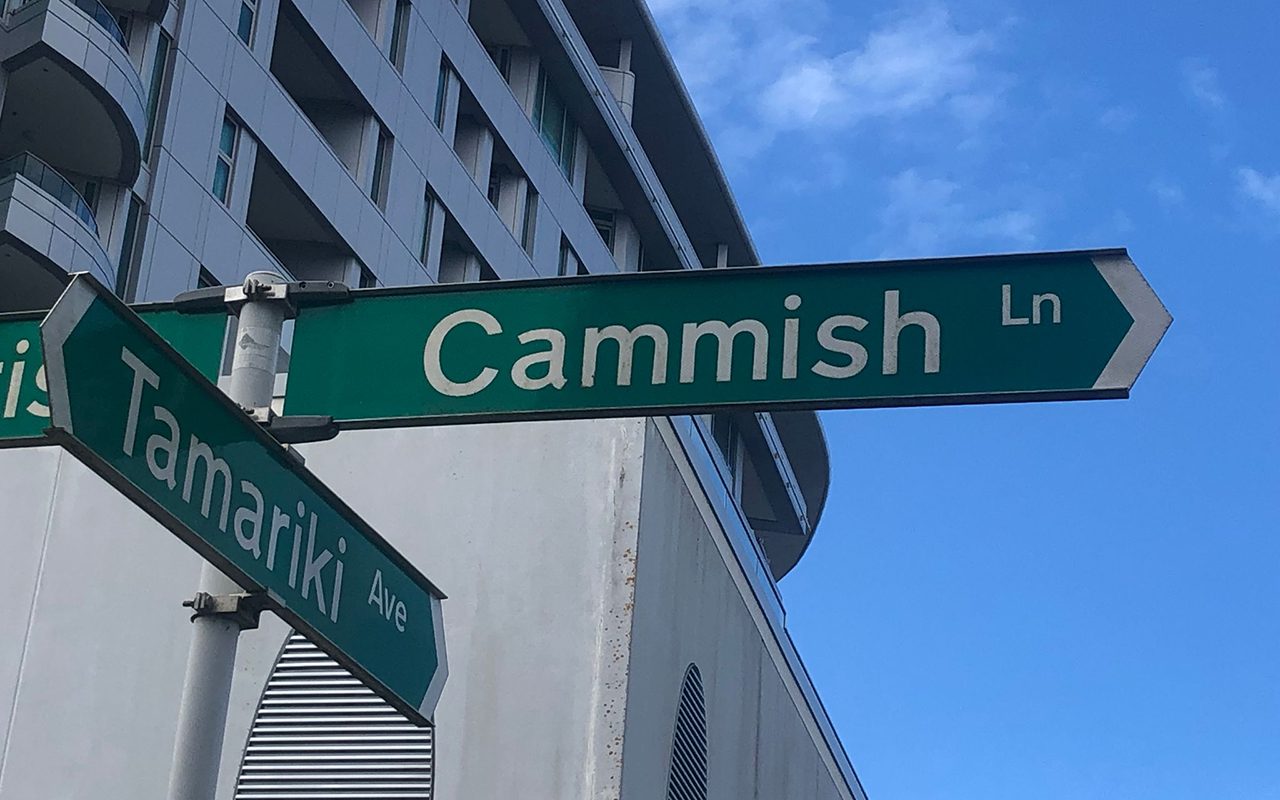 Cammish celebrates century - Local Matters