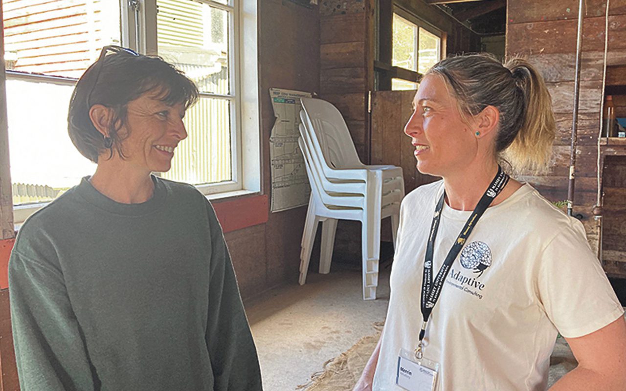 Mahurangi West workshop addresses land restoration issues - Local Matters