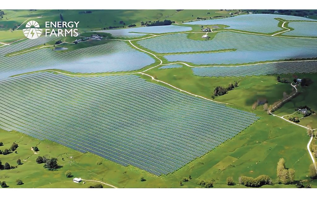 Solar farm shadow falls over Wellsford - Local Matters