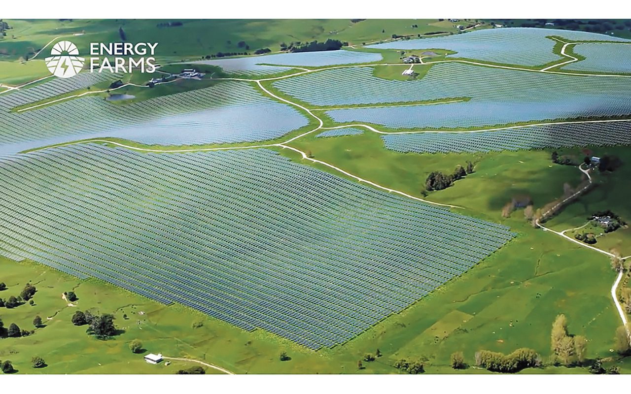 Solar farm shadow falls over Wellsford - Local Matters