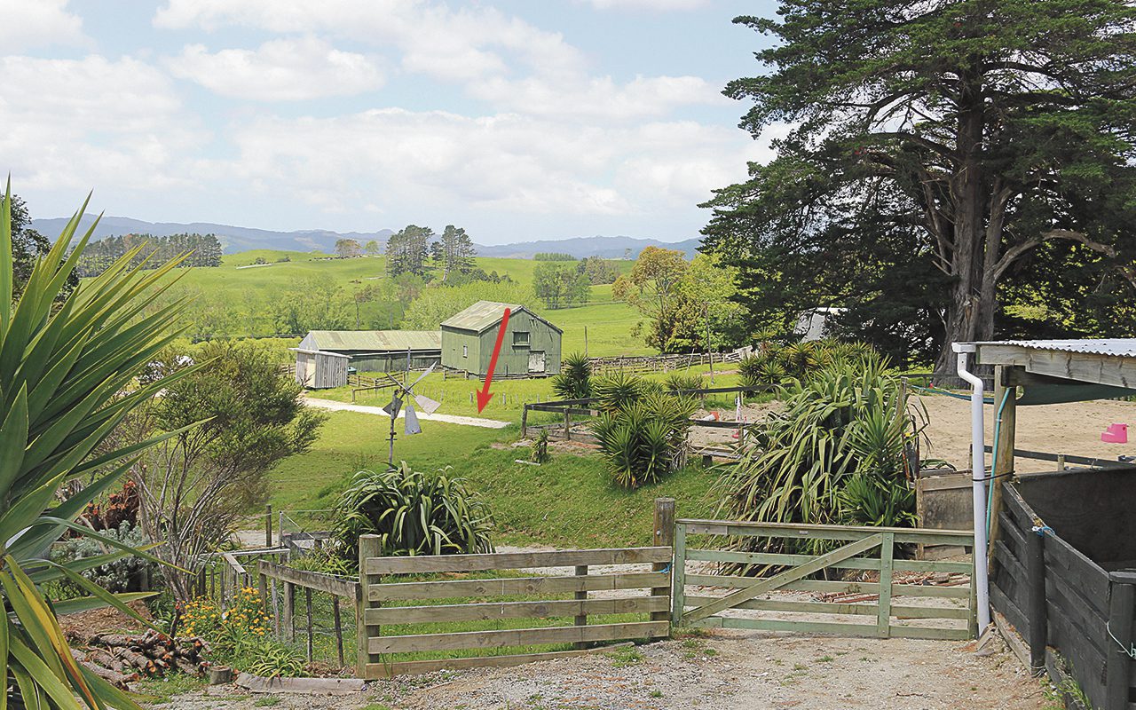 Solar farm shadow falls over Wellsford - Local Matters