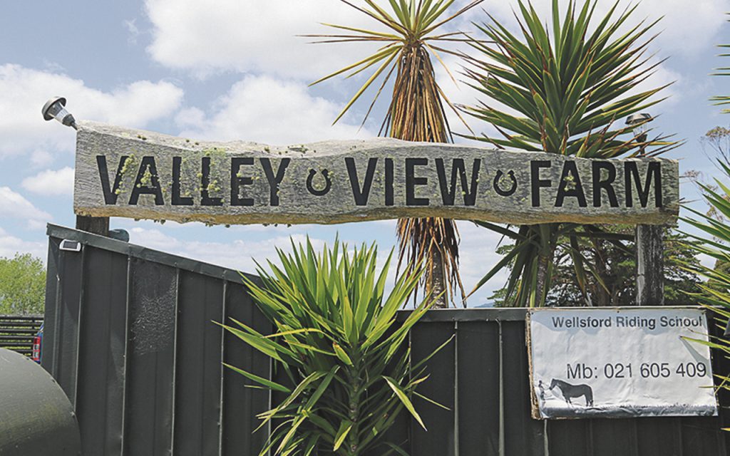 Solar farm shadow falls over Wellsford - Local Matters