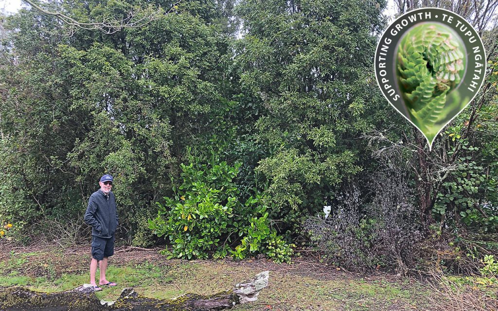 Proposed Matakana Road upgrade impacts dozens of properties - Local Matters