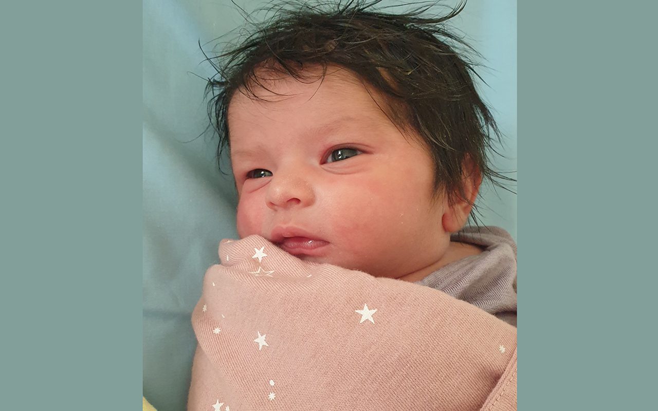 New Coastie – A poonami of pride - Local Matters