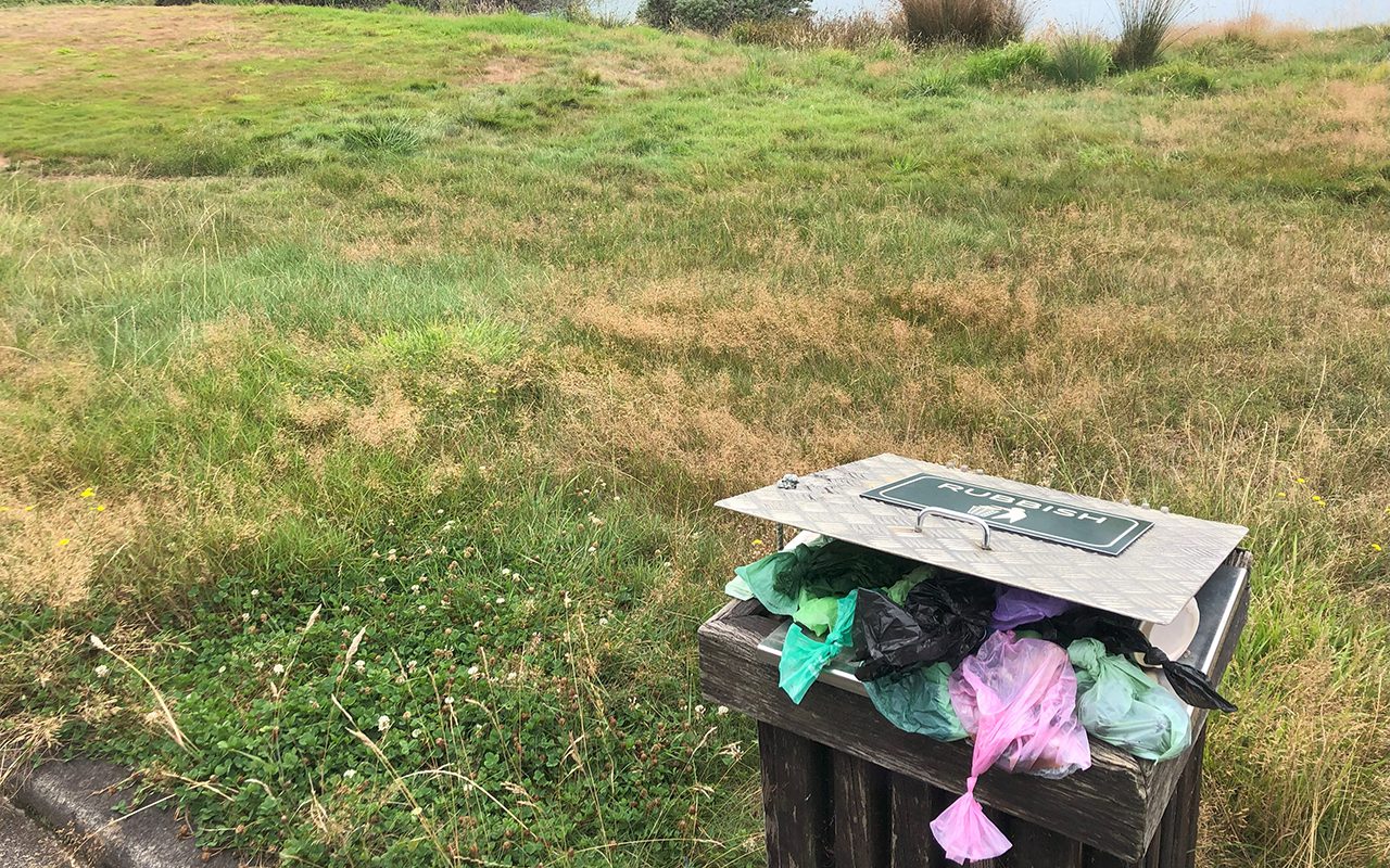 Unmaintained golf course sparks community concerns - Local Matters