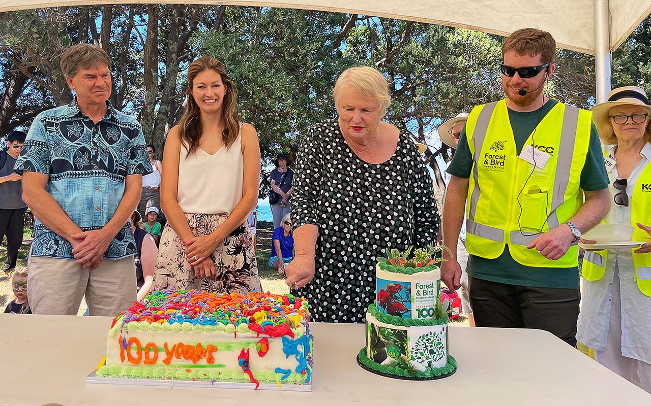 Cake cut at Shakespear party - Local Matters