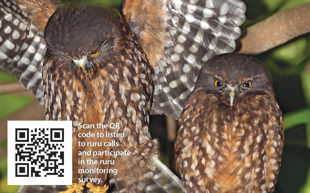 The Forest Bridge Trust - Time to give a hoot - Local Matters