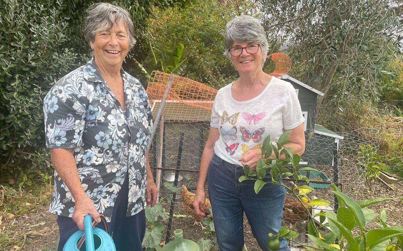 Backyard garden feeds families - Local Matters