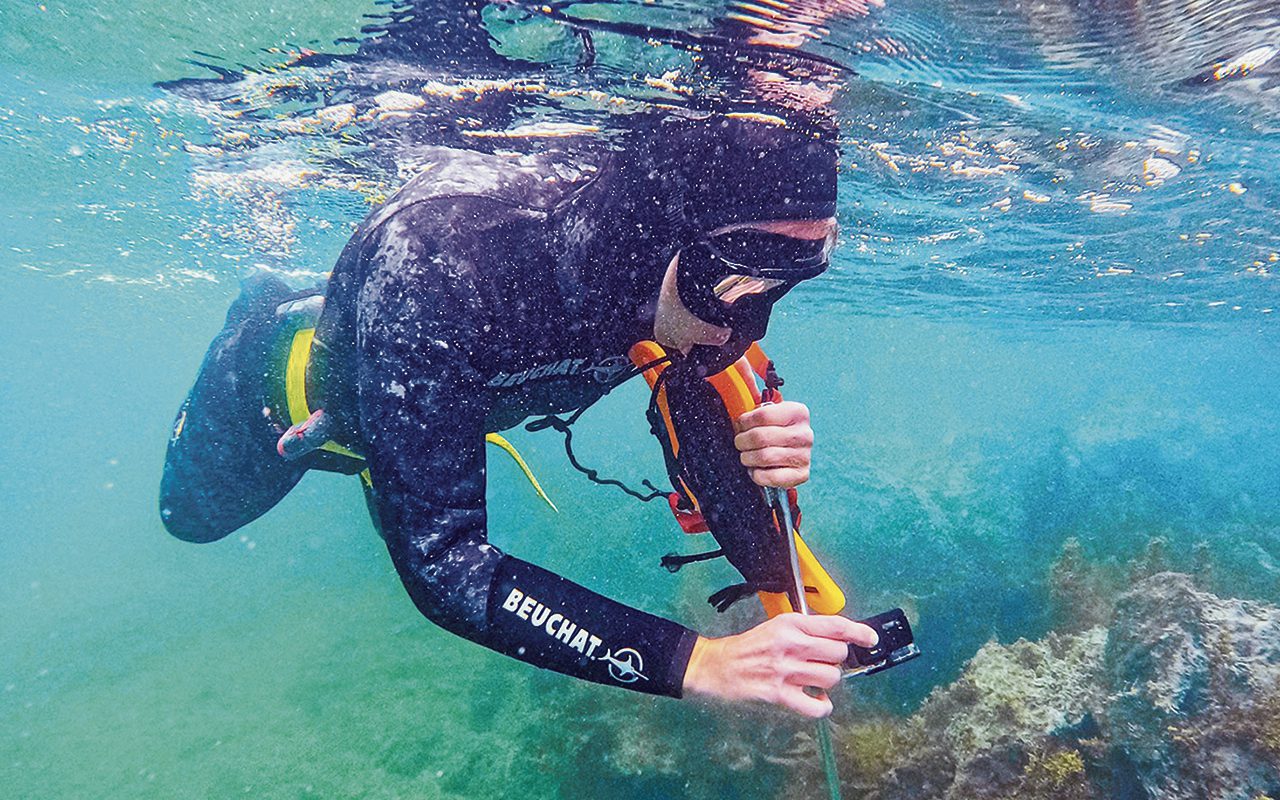 Matheson Bay restoration up and running - Local Matters