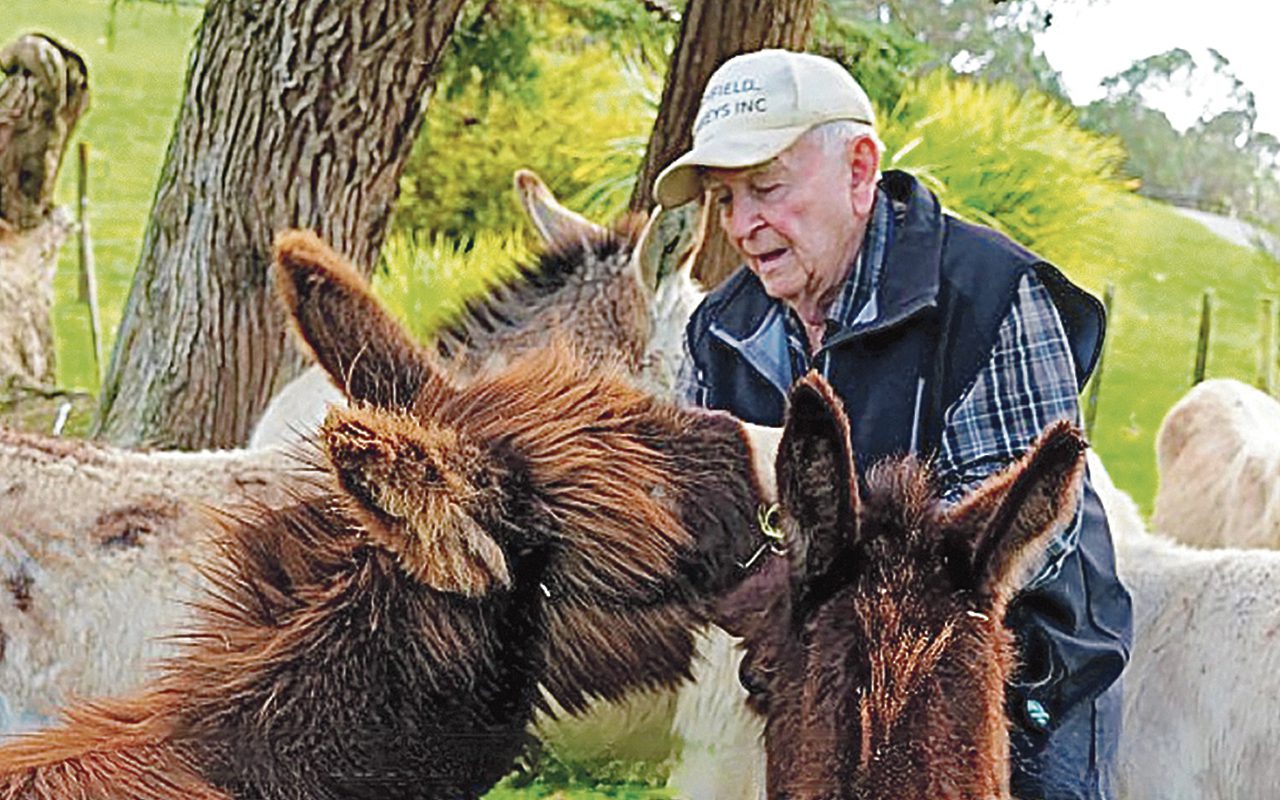 Donkeys’ champion to star in new film - Local Matters