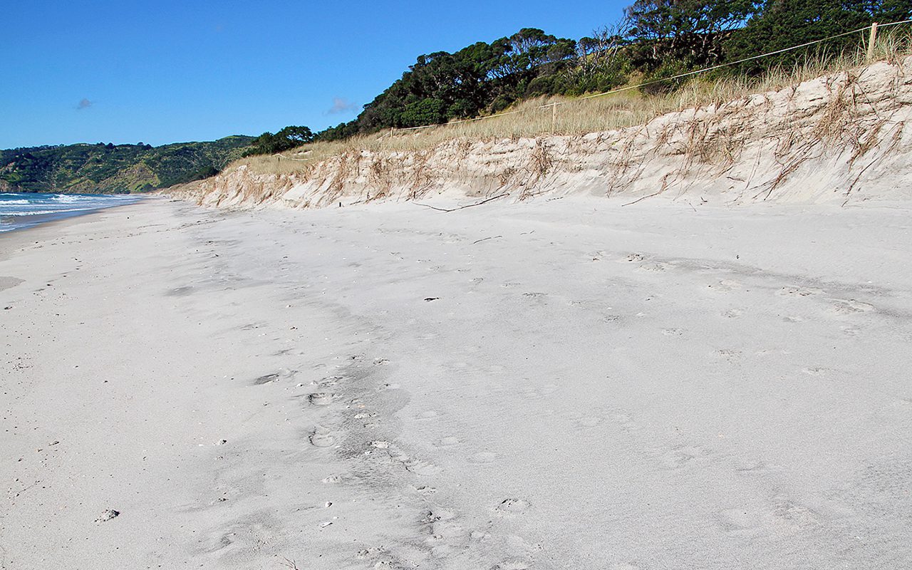 Court reinstates sand mining costs to Manuhiri trust - Local Matters