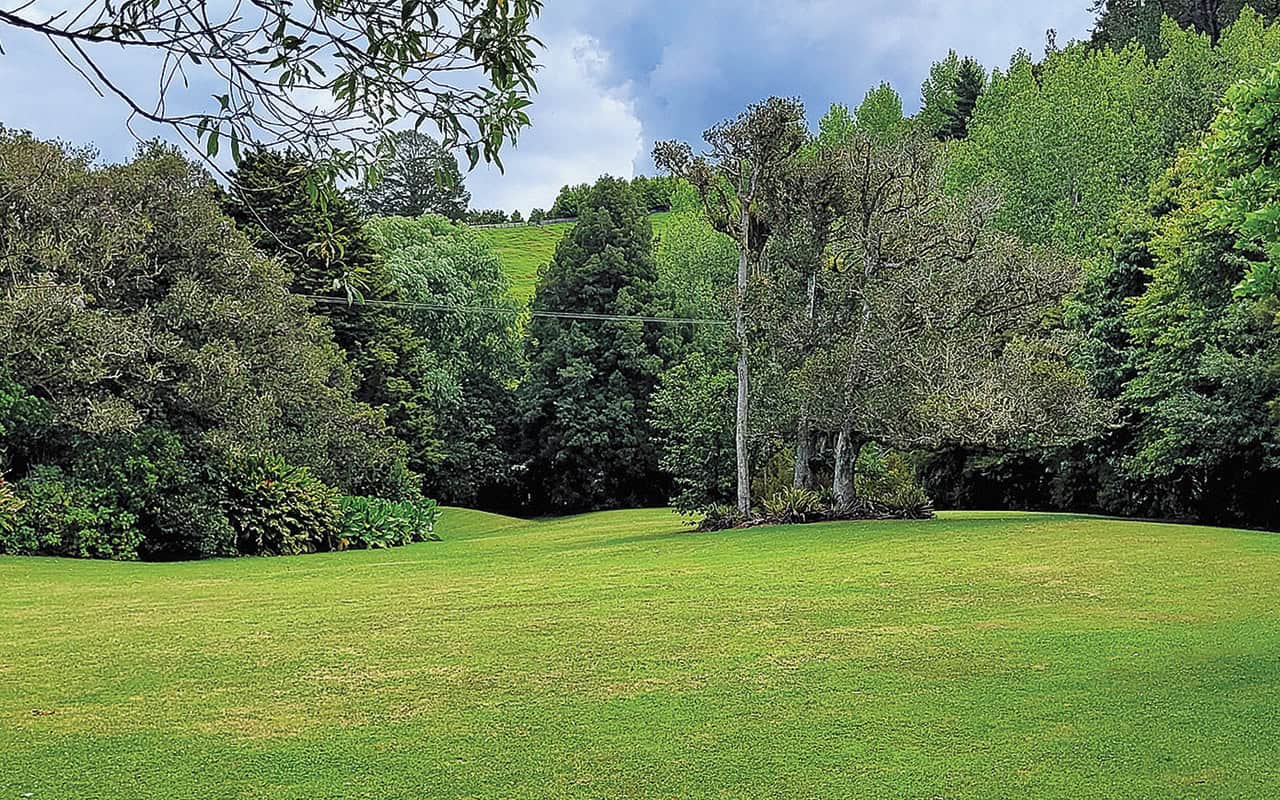Garden open for good causes - Local Matters