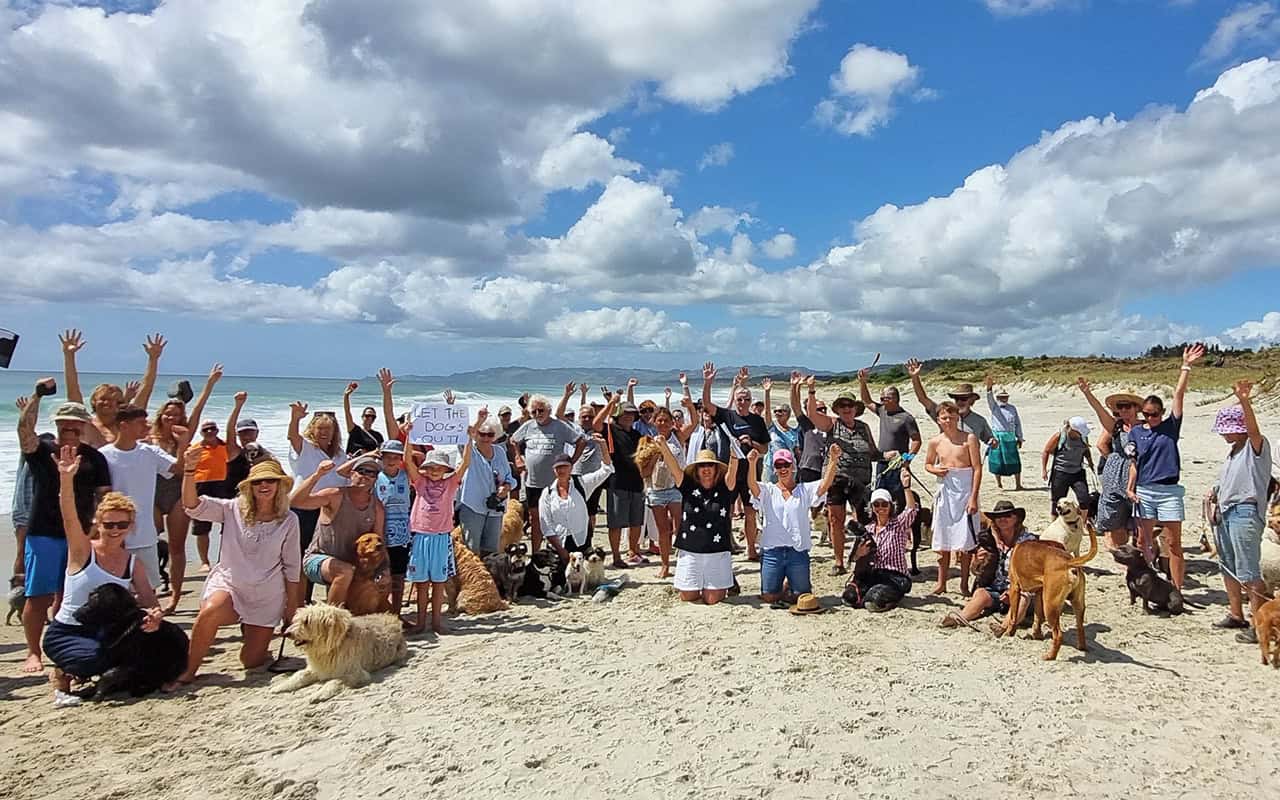 Barking mad ban unleashes dog-lovers outrage - Local Matters