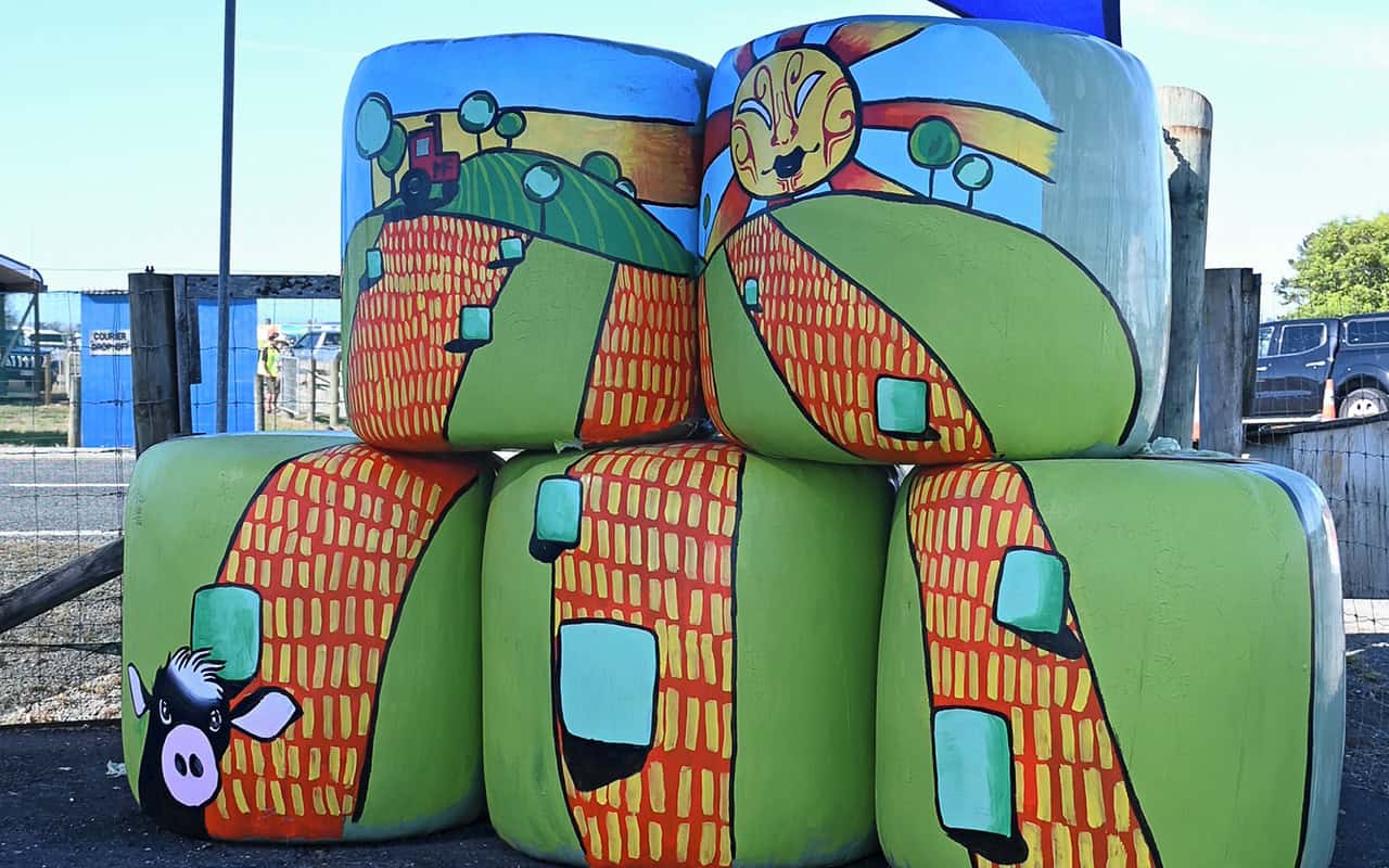 Friendly field days ready to roll once again - Local Matters