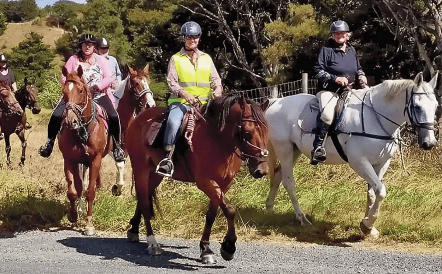 Ahuroa Horse Trek - Local Matters