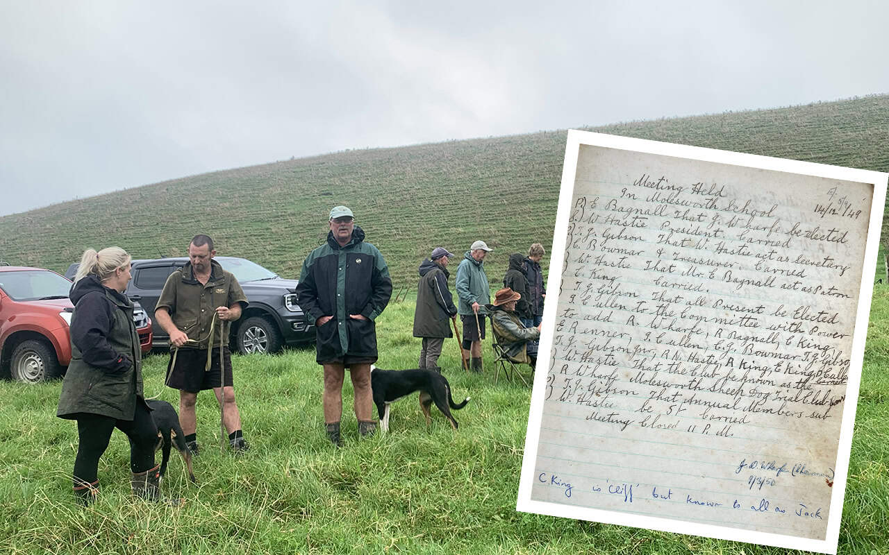 Sheepdogs line up for anniversary trial - Local Matters