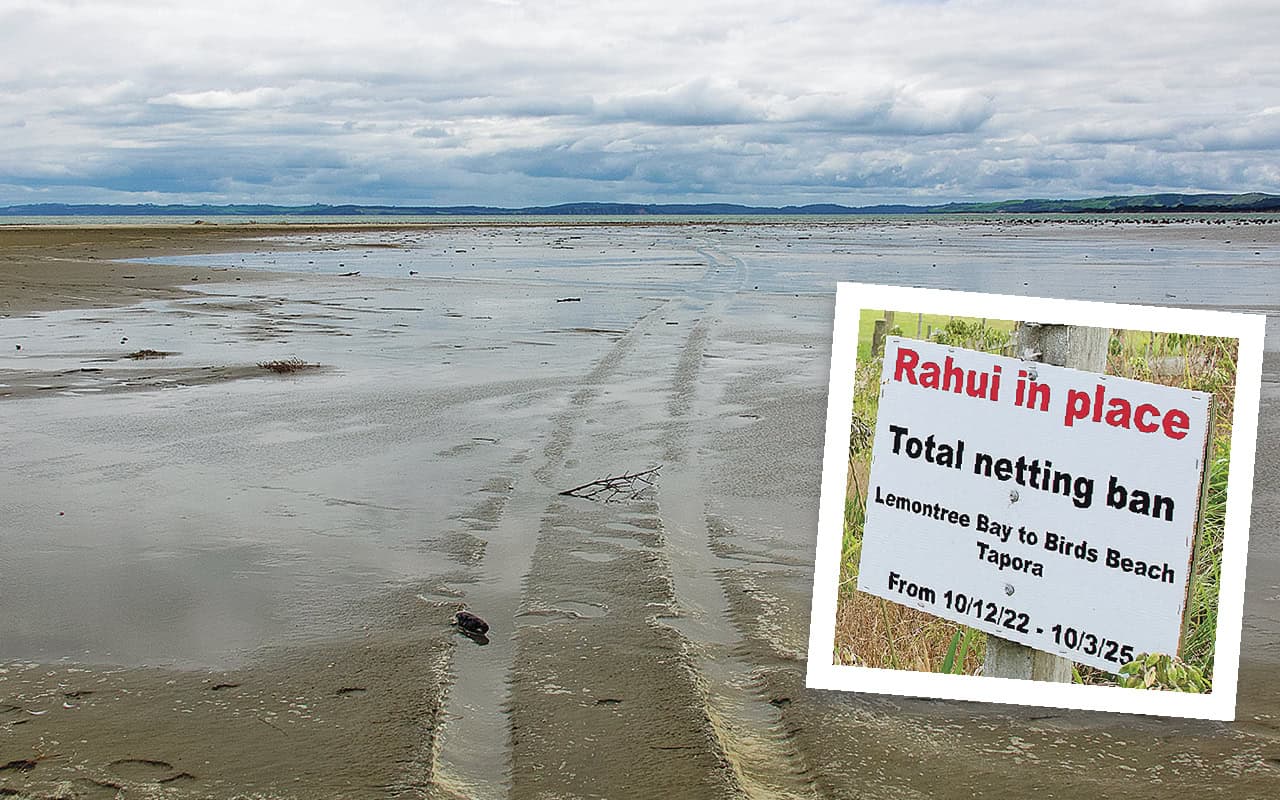 Kaipara netting rāhui extended - Local Matters
