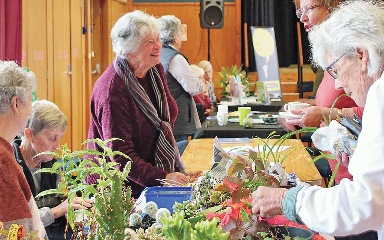 Something for everyone at Wellsford expo - Local Matters