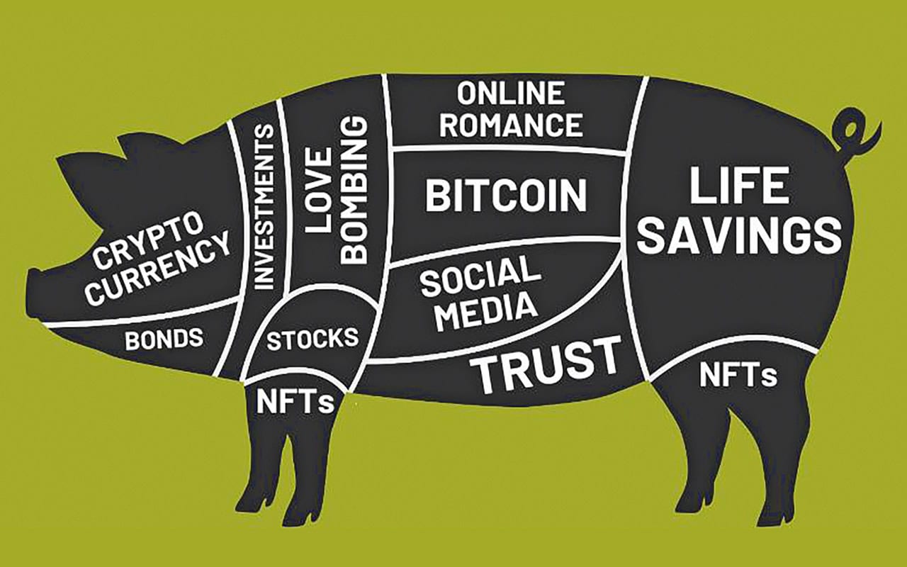 ‘Pig butchering’ scam targets elderly - Local Matters