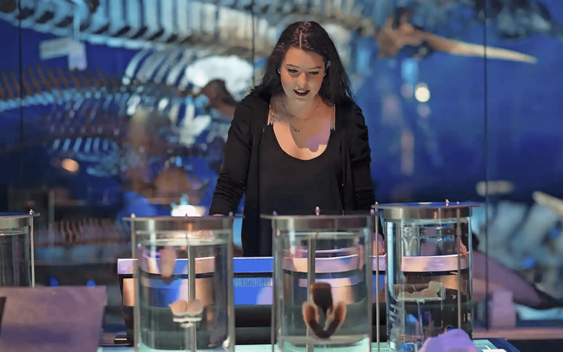 Dive in and Discover Warkworth Museum - Local Matters