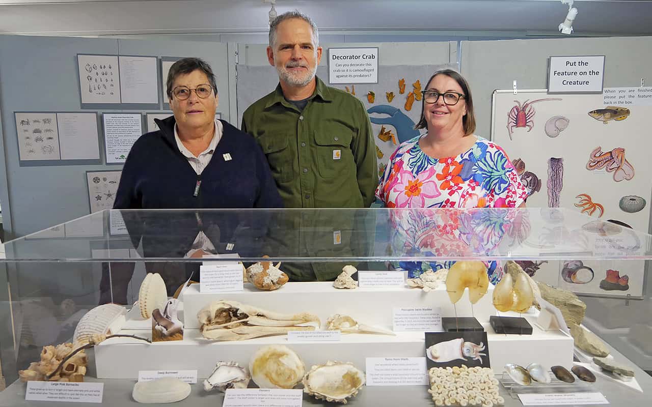 New museum marine life exhibition a must-sea - Local Matters