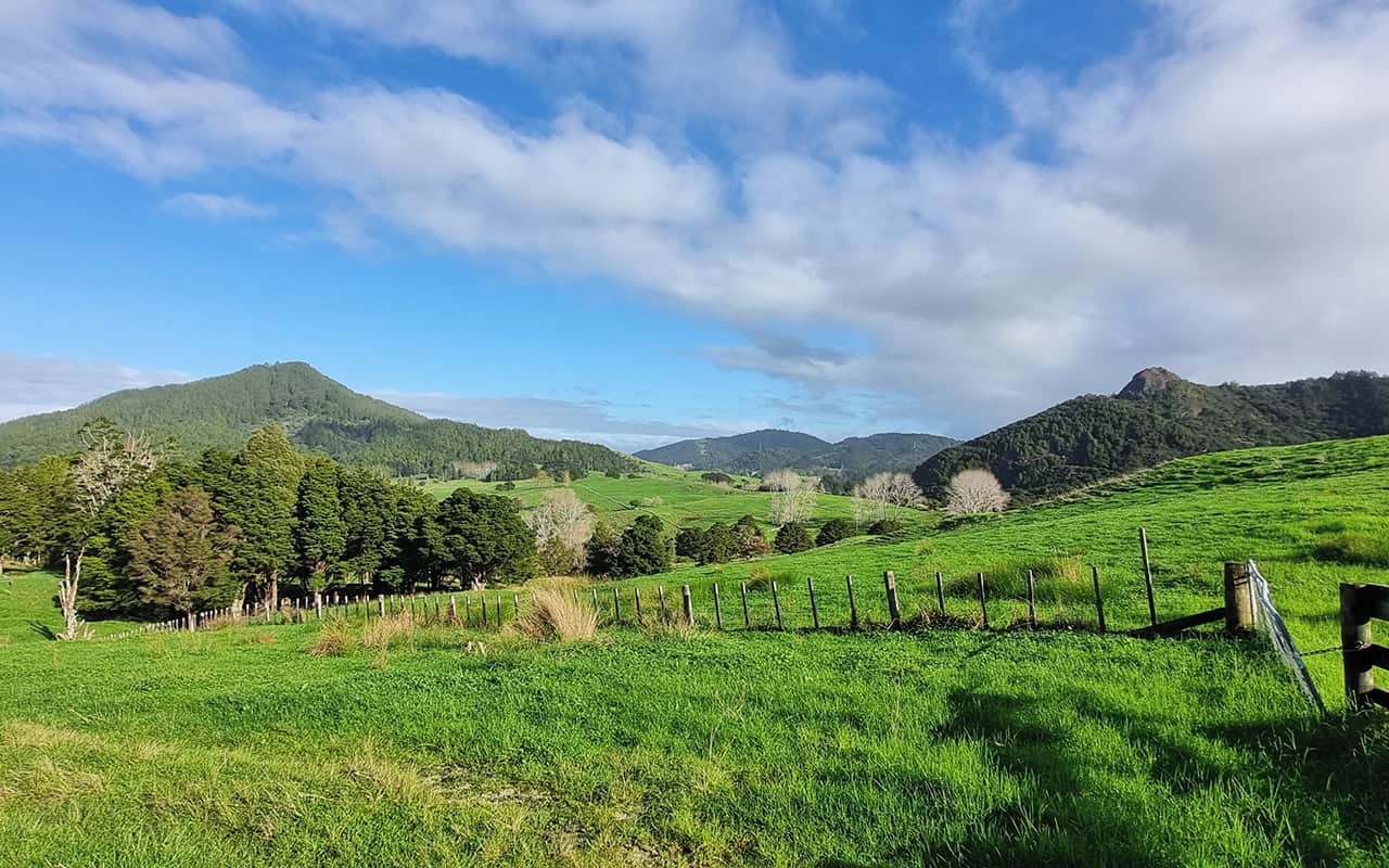 Landowners alerted to Northern Expressway plans - Local Matters