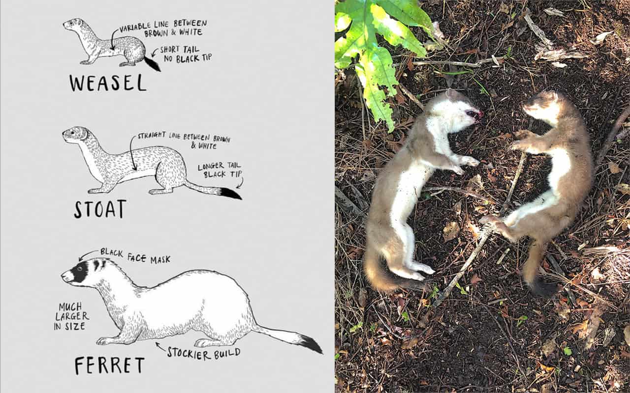 Environment - Why every trap matters - Local Matters