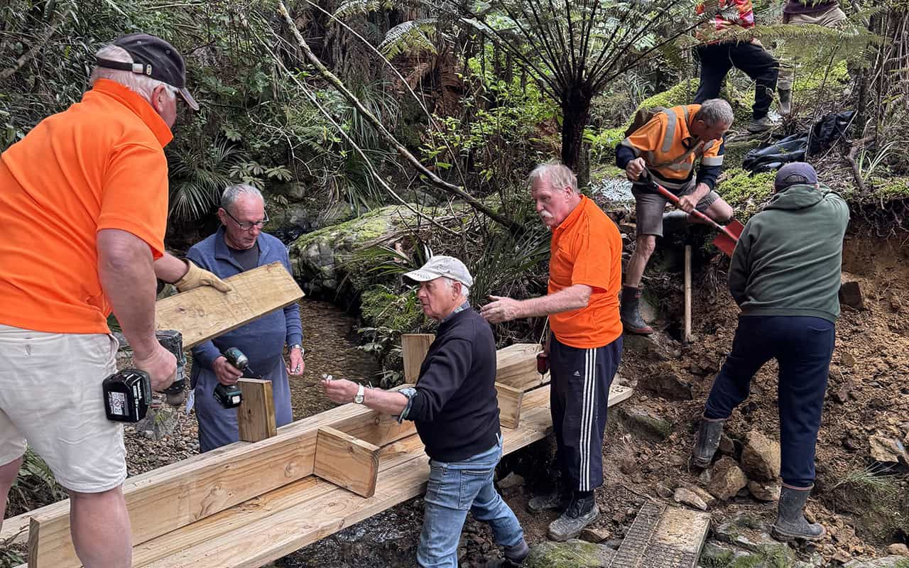 Dedicated Trackies tackle Tanekaha bridges - Local Matters